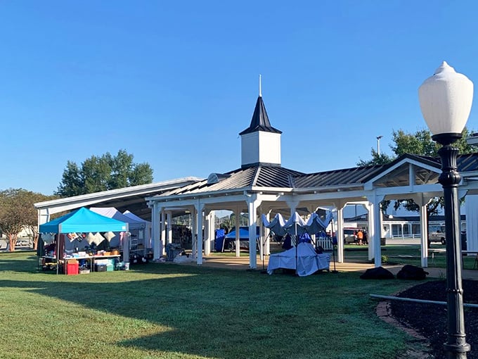 Simple shelves display childhood memories at Jackson's Hub City Market. That stuffed animal might become someone's new best friend!
