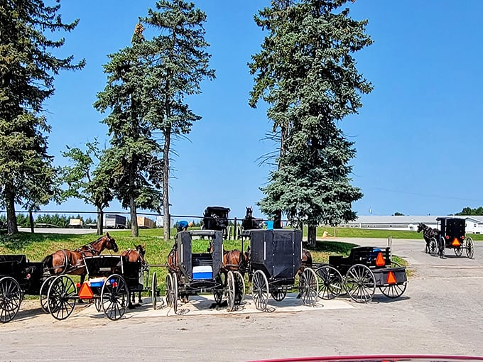 Parked buggies at a local gathering spot in Kidron &ndash; the original ride-sharing program that never needs a software update.