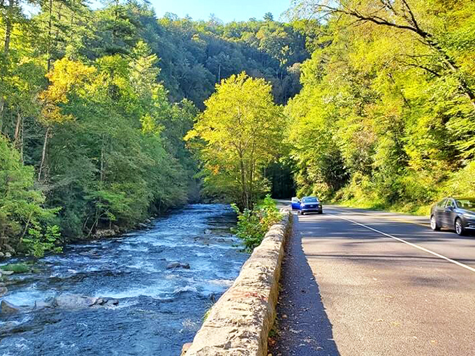 The perfect marriage of road and river&mdash;Little River Road hugs the water like they've been together for centuries.