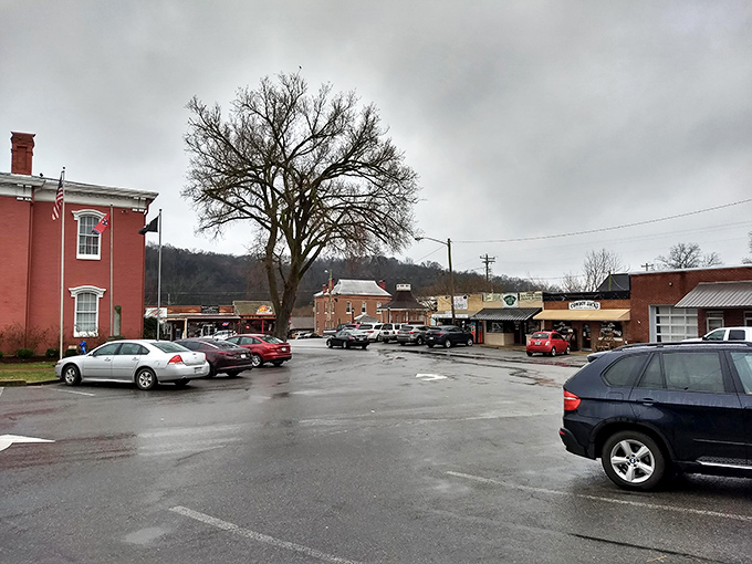 That magnificent tree in Lynchburg's square has witnessed more town meetings, first kisses, and Sunday strolls than any human resident&mdash;the perfect centerpiece for a community that values roots.