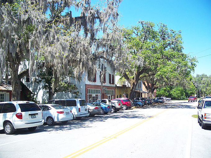 Spanish moss creates nature's own cathedral here, where antique hunters pilgrimage seeking yesterday's forgotten gems and stories.