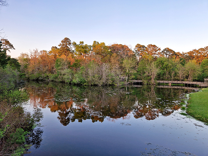 Tranquil reflections-where nature&rsquo;s calm meets Southern charm in Millen.
