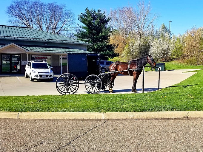 The historic courthouse stands tall in Millersburg, watching over the town as it has for generations of Holmes County residents.