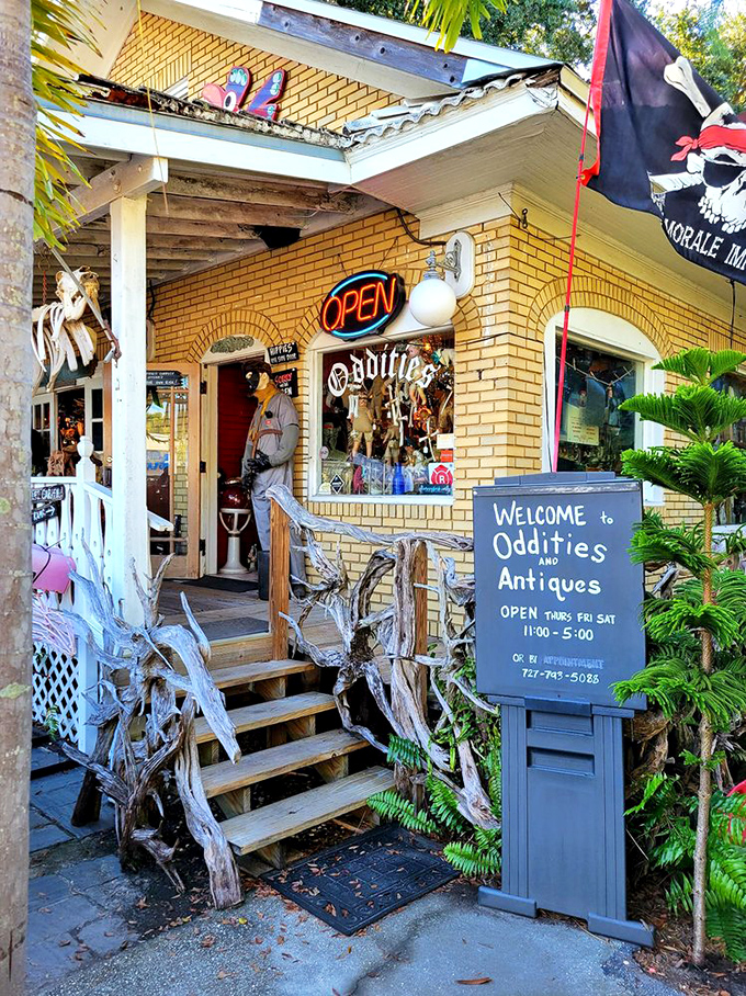 Driftwood steps lead to a world of wonder at Oddities and Antiques. This Clearwater gem is where normal shopping rules don't apply.