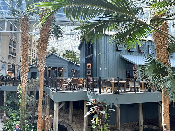 Palm trees frame your path to beef bliss &ndash; Florida living at its most delicious.
