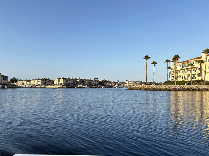 Palm-lined streets in Oxnard lead to both the beach and reasonably-priced housing. The California dream without the nightmare price tag.