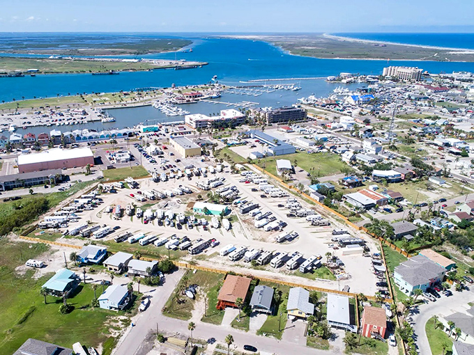 The harbor bustles with boats heading out for red snapper and coming back with stories.