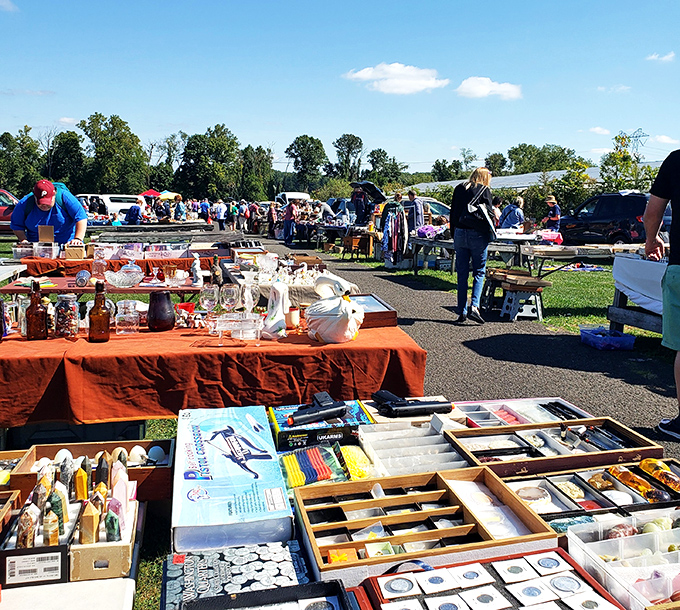 Books, toys, and surprises line the pathways at Rice's. Every visit writes a new chapter in your collection.