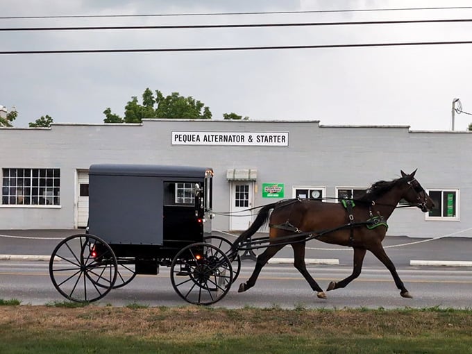 Where horse power meets horsepower! This Ronks carriage passes modern mechanics with old-fashioned dignity.