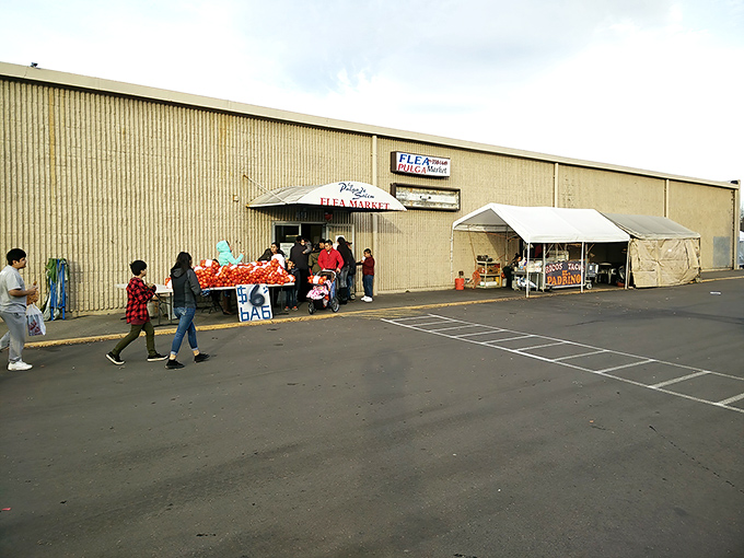 Simple from the outside, La Pulgita de Salem buzzes with activity as shoppers hunt for deals under the watchful eye of market umbrellas.