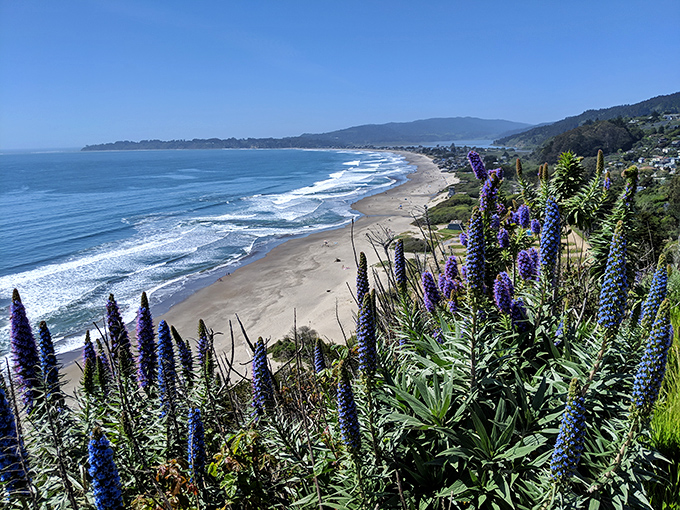 Those purple wildflowers frame the shoreline of Stinson Beach like nature's own Instagram filter &ndash; no editing required.
