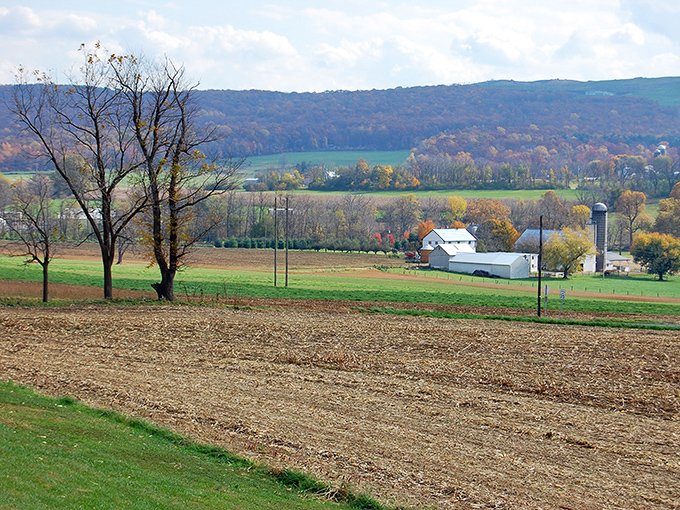 Autumn paints the hillsides while farmland spreads below - Mother Nature's masterpiece needs no museum walls.