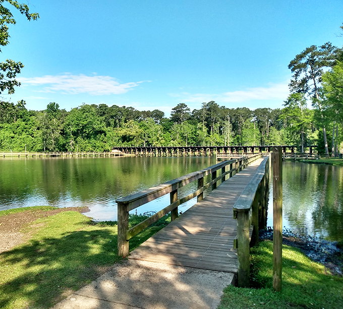 Boardwalk bliss without breaking the bank! This peaceful waterfront spot costs nothing to enjoy but delivers million-dollar tranquility.