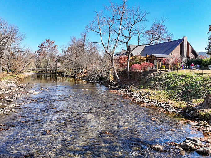 The peaceful side of the Smokies offers crystal-clear streams that look cool enough to dip your feet in on a hot summer day.