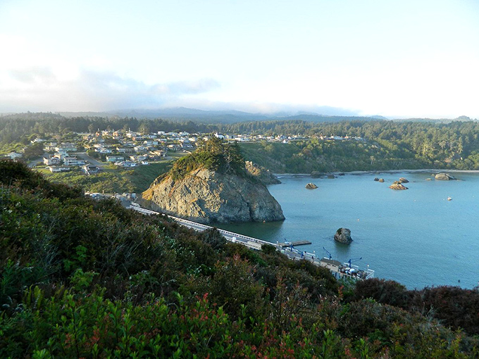 Where the redwood coast meets the sea, creating California's most dramatic northern scenery.