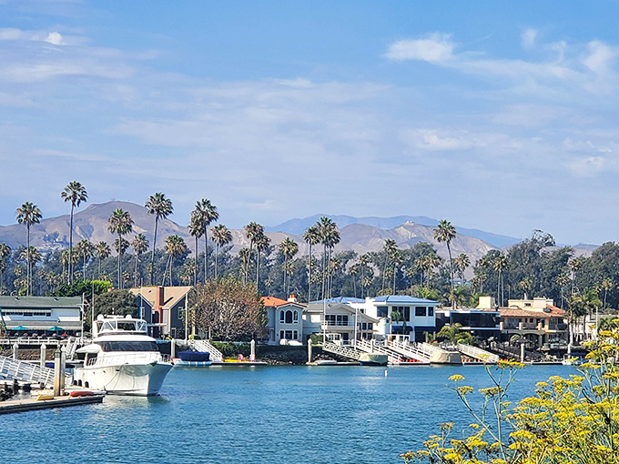 Palm trees and blue skies frame Ventura's harbor – a daily vacation scene that's actually within reach for budget-conscious retirees.
