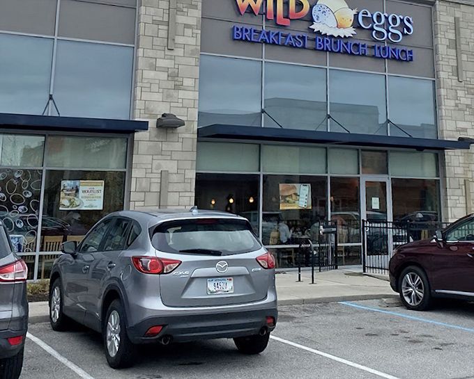 Wild Eggs: Urban breakfast sophistication where your coffee comes with a view and your eggs get dressed up for the occasion.