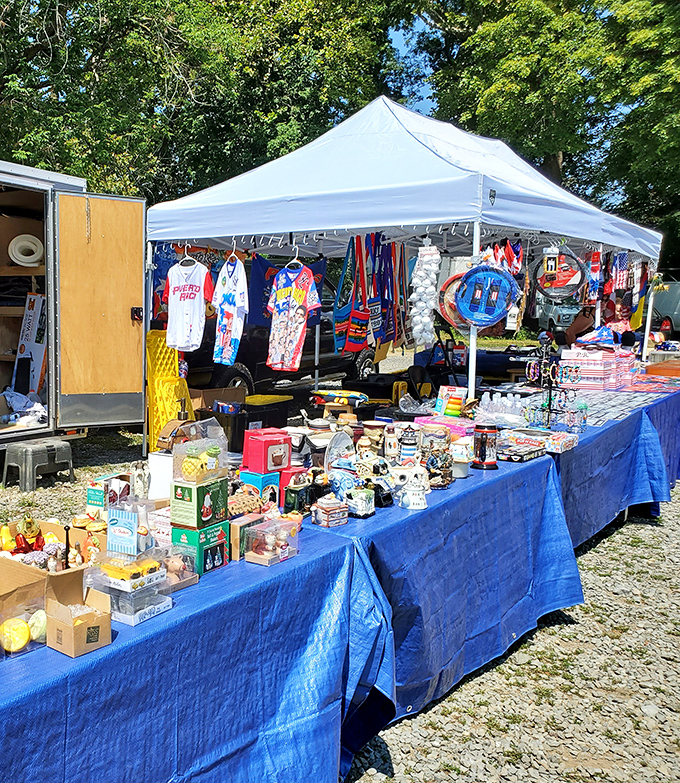 A vendor's table at Willow Glen loaded with merchandise and collectibles. Where Marie Kondo's philosophy goes to surrender!