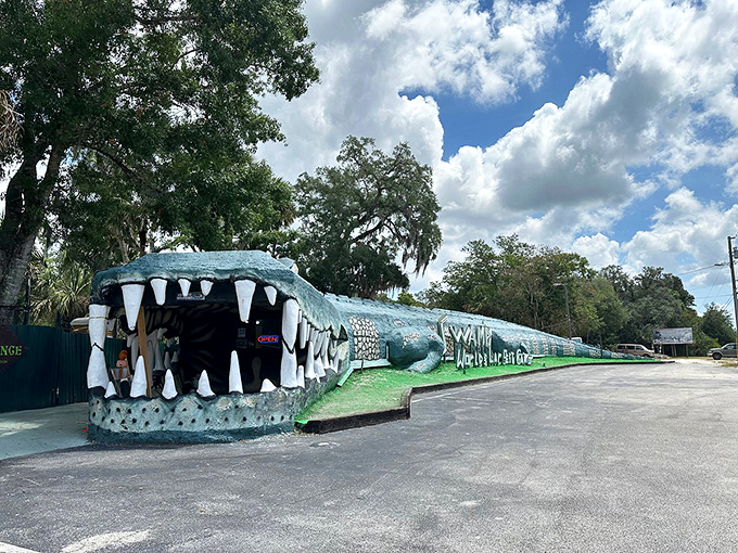 Florida's ultimate roadside photo op! This 200-foot gator makes ordinary tourist attractions look positively extinct by comparison.