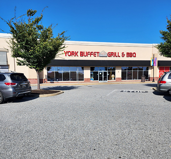 Nestled between shopping destinations, York Buffet stands ready to refuel weary shoppers with a world tour of flavors.