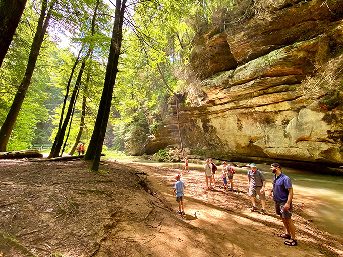 Summer explorers wade through cool streams beneath towering cliffs. Nature's air conditioning system works perfectly, even during Ohio's steamiest months.