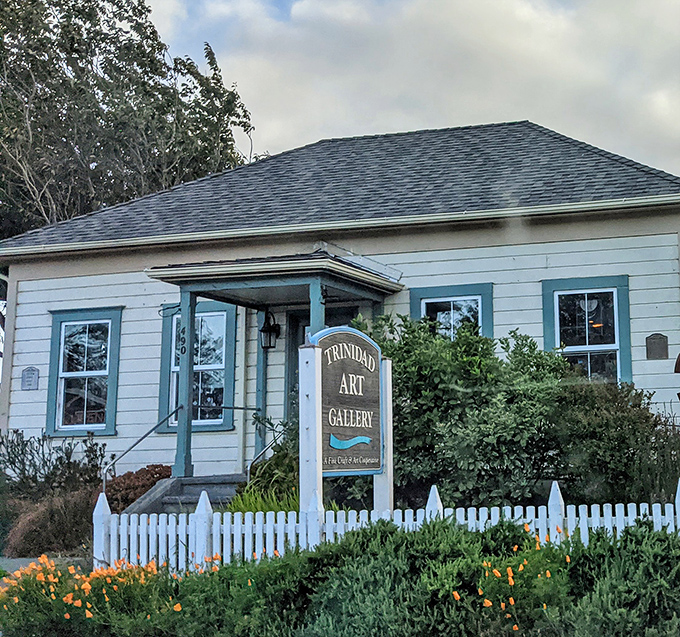 Trinidad Art Gallery showcases local creativity in a picturesque cottage setting surrounded by blooming coastal gardens.