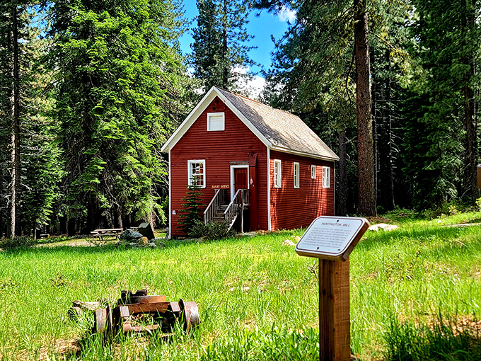 The old Assay Office, where miners learned if they'd struck gold or just expensive dirt.