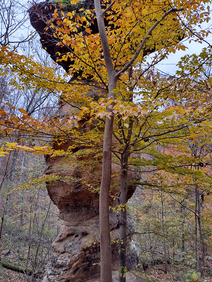 Autumn paints Jug Rock in golden hues, creating a scene so perfectly Indiana it could be on the cover of the state tourism guide.