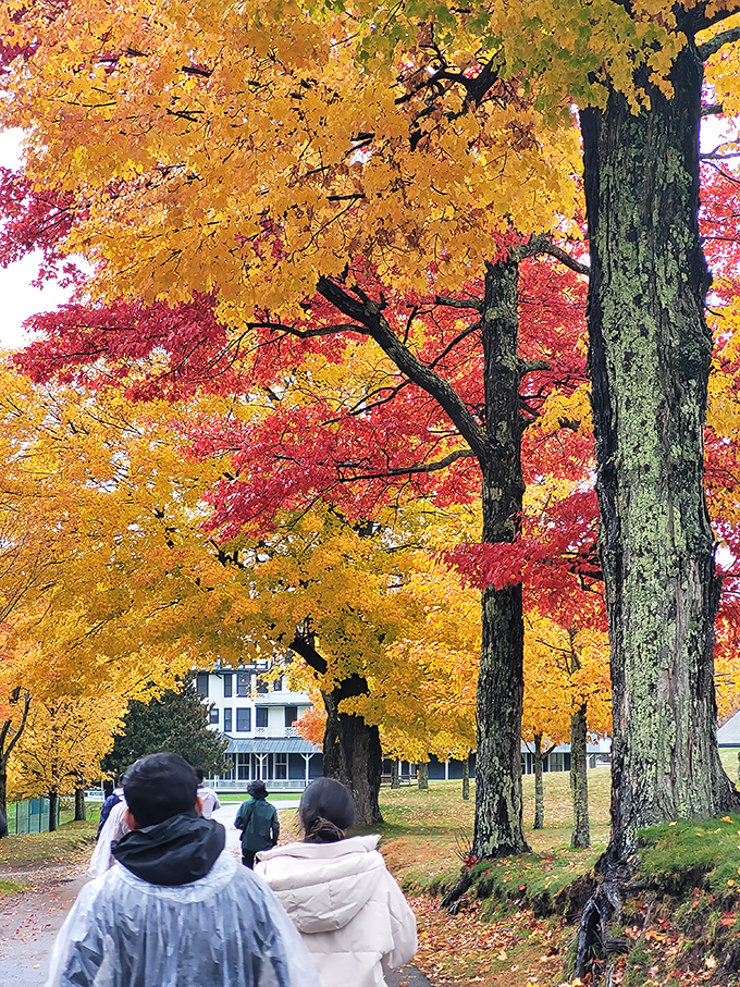 Fall in the Poconos isn't just a season&mdash;it's a spectacular performance where every tree competes for the title of "Most Dramatically Colorful."