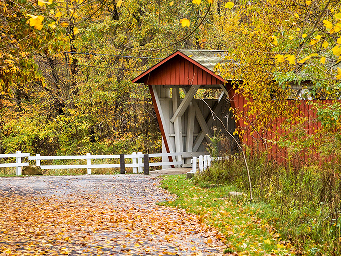 Fall turns the approach into a golden carpet, with autumn leaves complementing the bridge's warm tones in nature's perfect color scheme.
