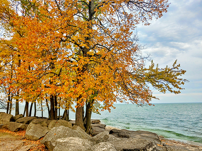 Fall in Marblehead delivers a color palette that would make any artist jealous&mdash;golden trees, limestone outcroppings, and Lake Erie's ever-changing blues.