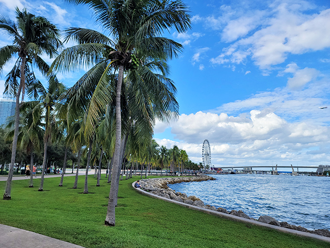 Bayfront Park's palm-lined waterfront path delivers postcard-worthy views with every step &ndash; making even the most dedicated couch potatoes consider jogging.