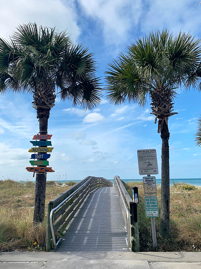 Your gateway to paradise starts here, where flip-flops become the only acceptable footwear choice.