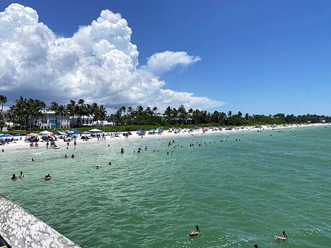 Beach day in Naples: where the water is so clear you can count a fish's eyelashes and the sand refuses to stick where you don't want it.