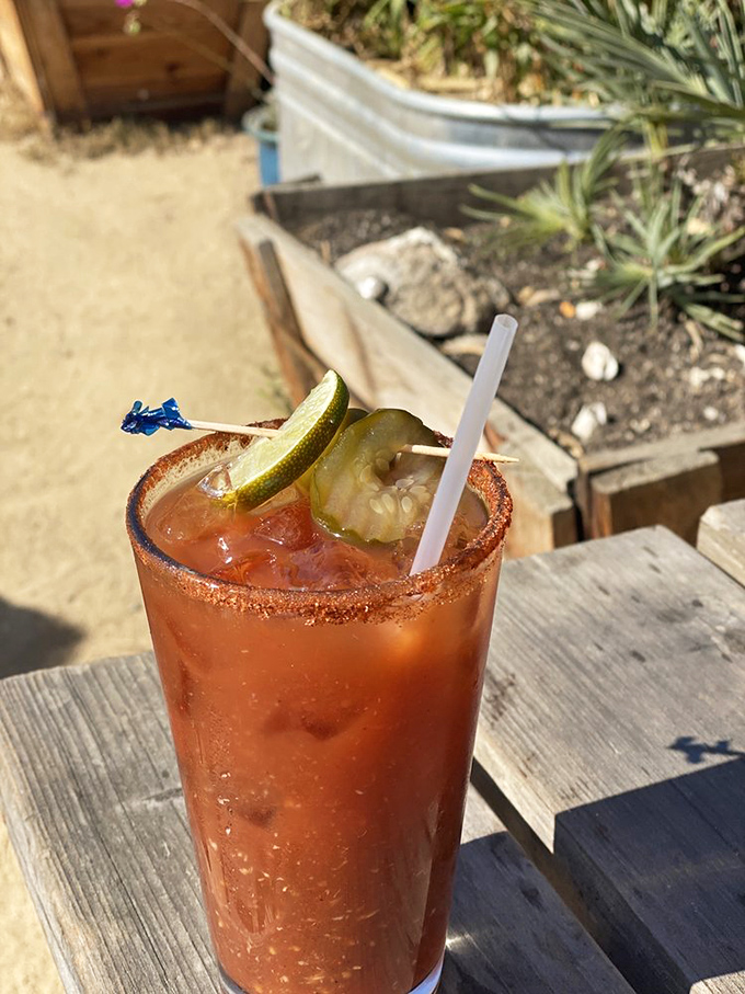 A proper Bloody Mary with that telltale rim of spice. The kind of drink that makes you wonder why anyone bothers with those fancy cocktails with umbrellas.
