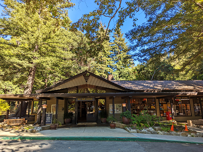 The Big Sur Lodge—civilization's cozy outpost in the wilderness. When your camping ambitions exceed your actual camping abilities, this rustic haven awaits.