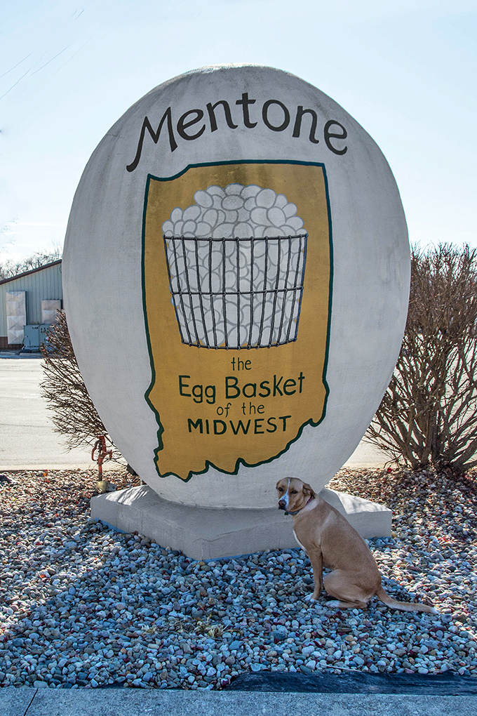 Even four-legged visitors seem impressed by the egg's grandeur &ndash; or perhaps they're just wondering if it might hatch.