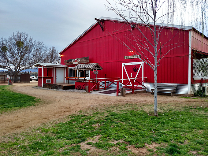 The Blazin' M Ranch's barn-red exterior promises Western adventures that don't require saddle sores. Cowboy culture with all the comforts.