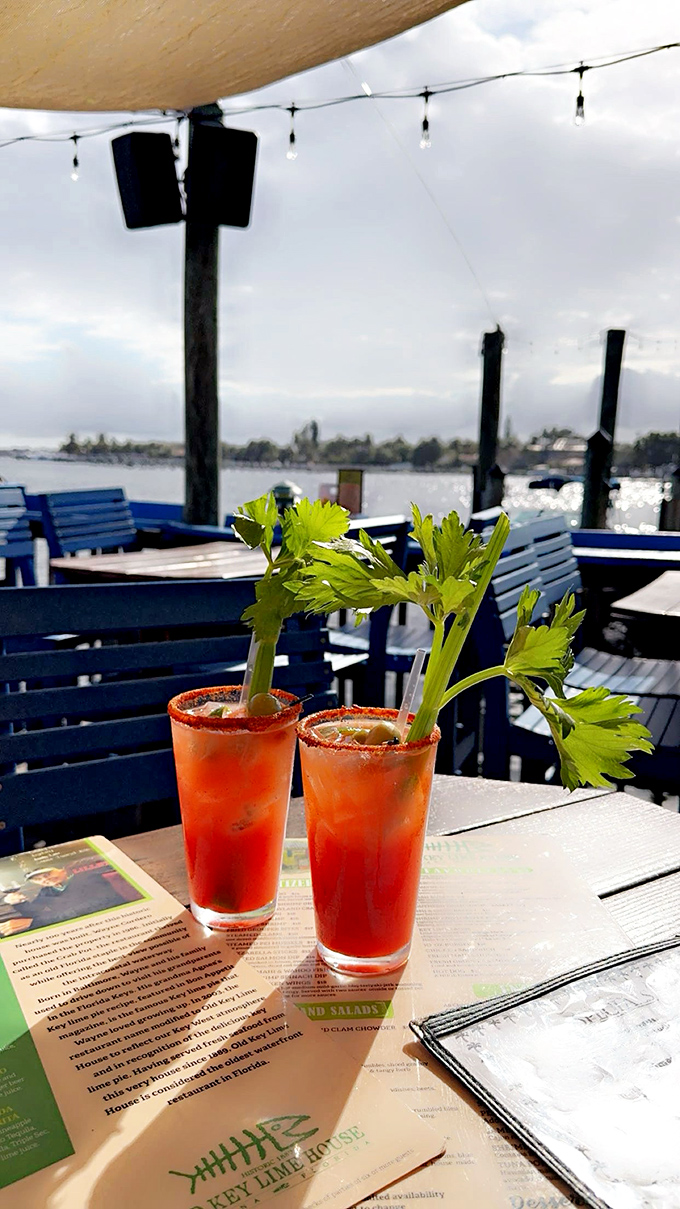 Bloody Marys with a view that makes you understand why people retire to Florida. The celery stalk is just showing off.