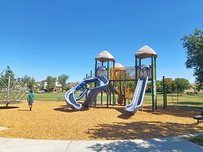 Local parks provide family entertainment without admission fees&mdash;where kids discover the original version of "screen time" involves actual sunshine.
