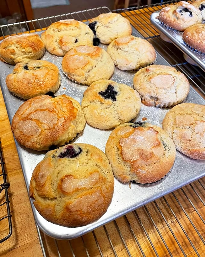Fresh-baked blueberry muffins cooling on the rack &ndash; proof that some things are still made from scratch.