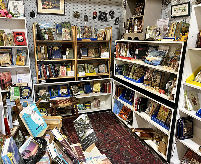 A bibliophile's dream corner where vintage volumes await new homes. That distinctive old-book smell? Completely free with every browsing session.