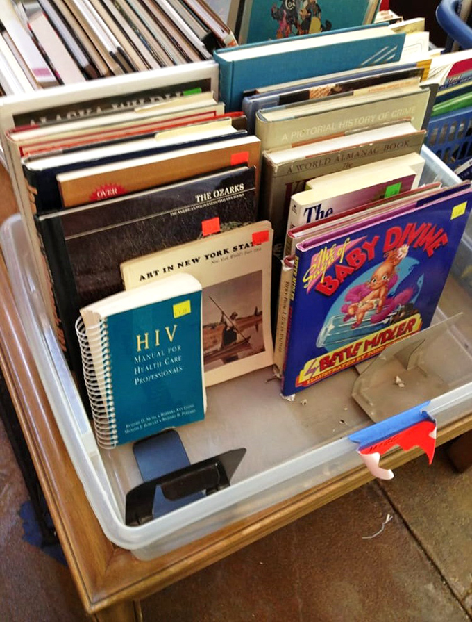 Books that tell stories beyond their pages – from vintage classics to practical guides, each one priced less than your morning latte.