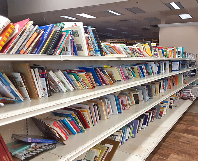 The literary corner: where dog-eared paperbacks and forgotten bestsellers find new readers. Bibliophiles beware&mdash;you'll need a bigger bookshelf after this visit.