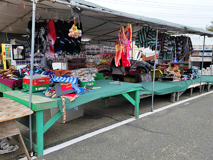 A rainbow of textiles spills across green tables, where handcrafted treasures from around the world find new homes in Sacramento living rooms.