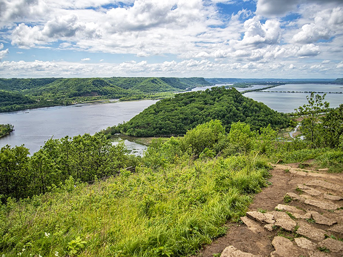 The Mississippi Valley unfolds like nature's IMAX from Brady's Bluff. This panoramic view rewards hikers with a perspective that no camera truly captures.