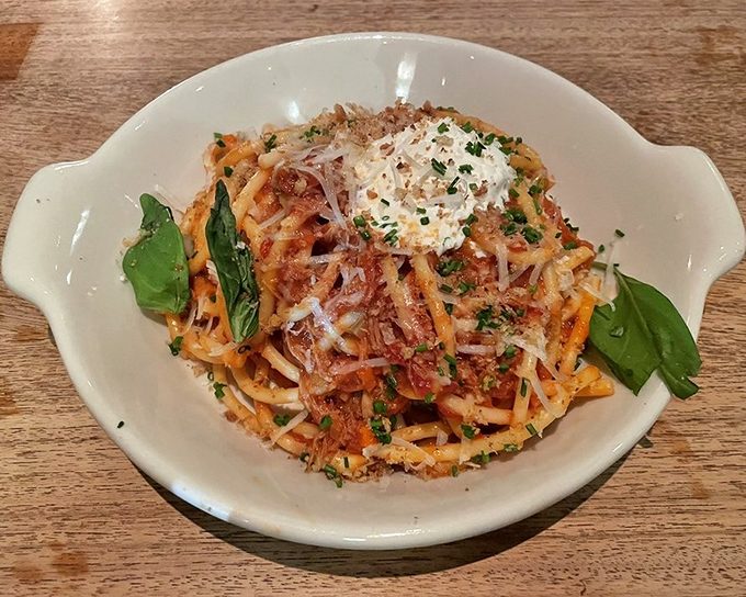 Bucatini that would make an Italian grandmother weep with joy. That little pool of sauce is where flavor goes to throw a party.