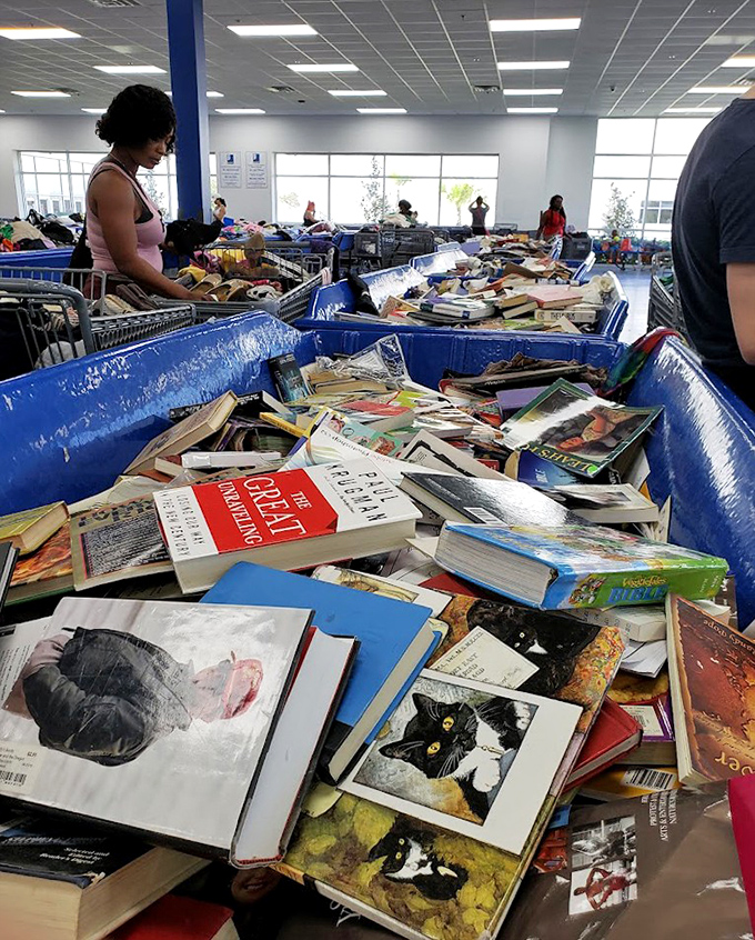 Literary roulette where every pull might yield a bestseller or forgotten classic. Bookworms can feast without emptying their wallets here.