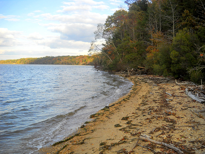 Autumn paints the shoreline in warm hues while the Potomac reflects the sky's brilliant blue—nature's perfect color coordination.