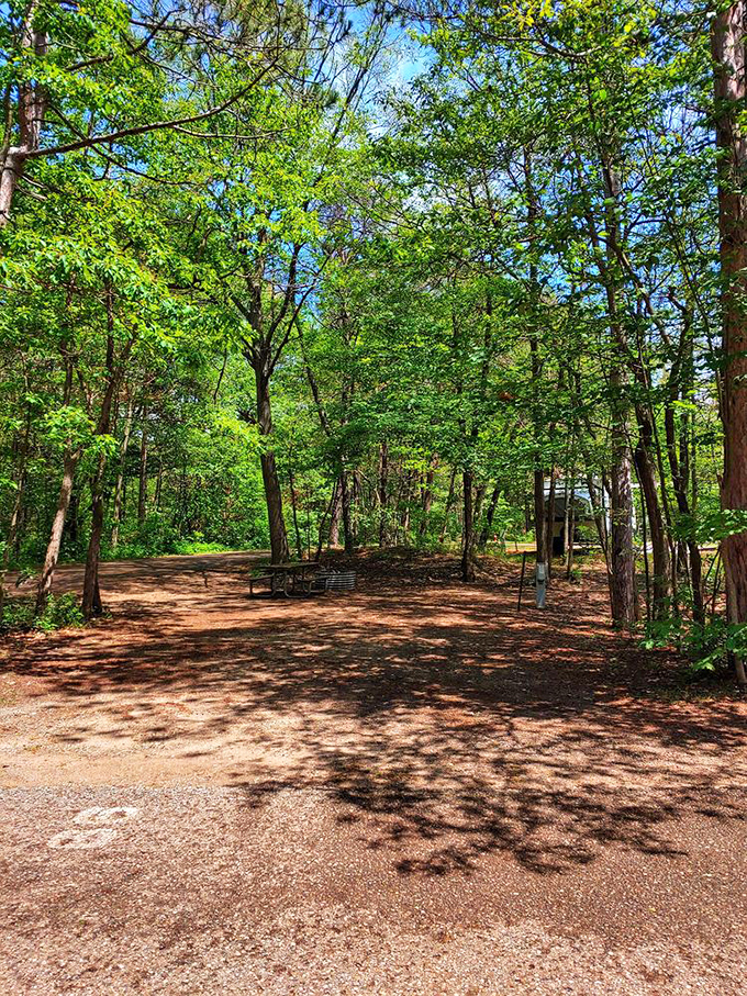 Forest bathing, Michigan-style: Tall pines create natural privacy screens between campsites, offering both community and solitude in perfect balance.